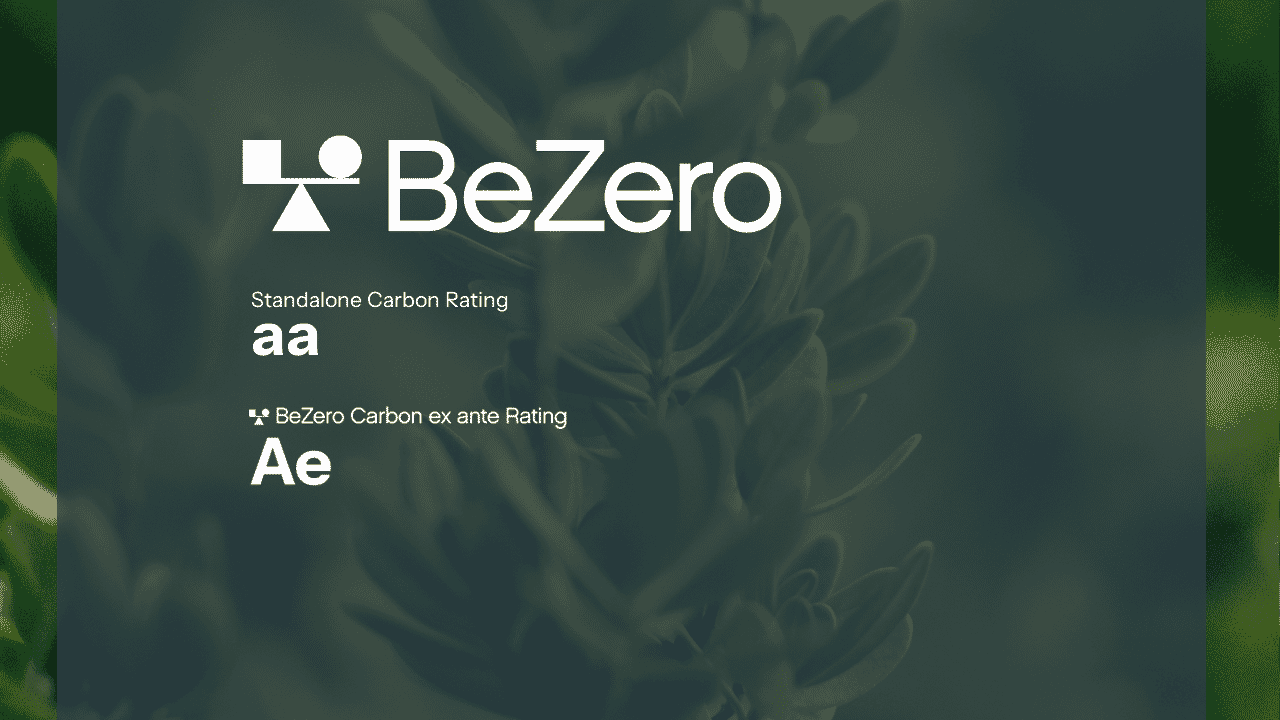 Read our Blog | Imperative