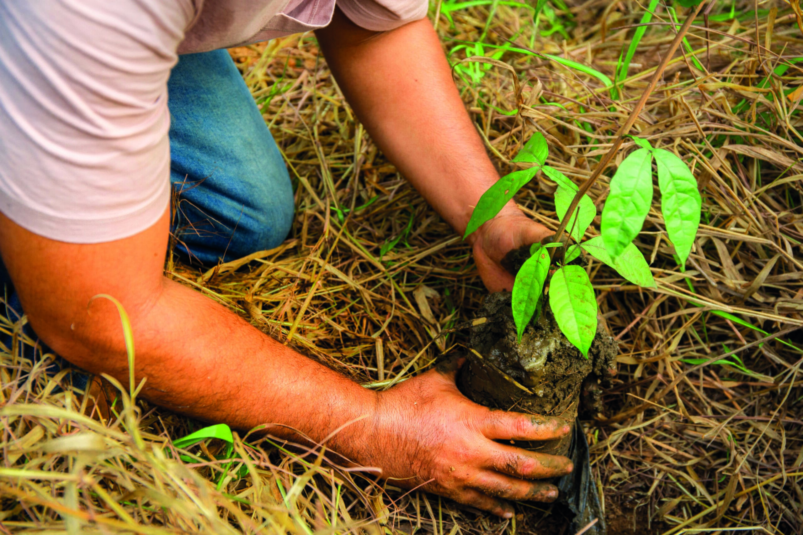 Farmer Field Schools Specialist / Especialista de Escuelas de Campo ...